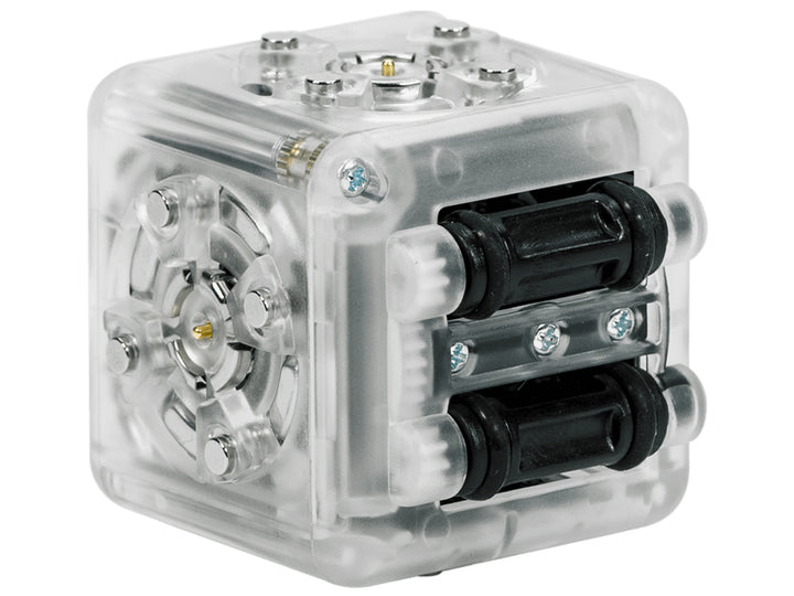 Individual Cubelets | PCS Edventures!