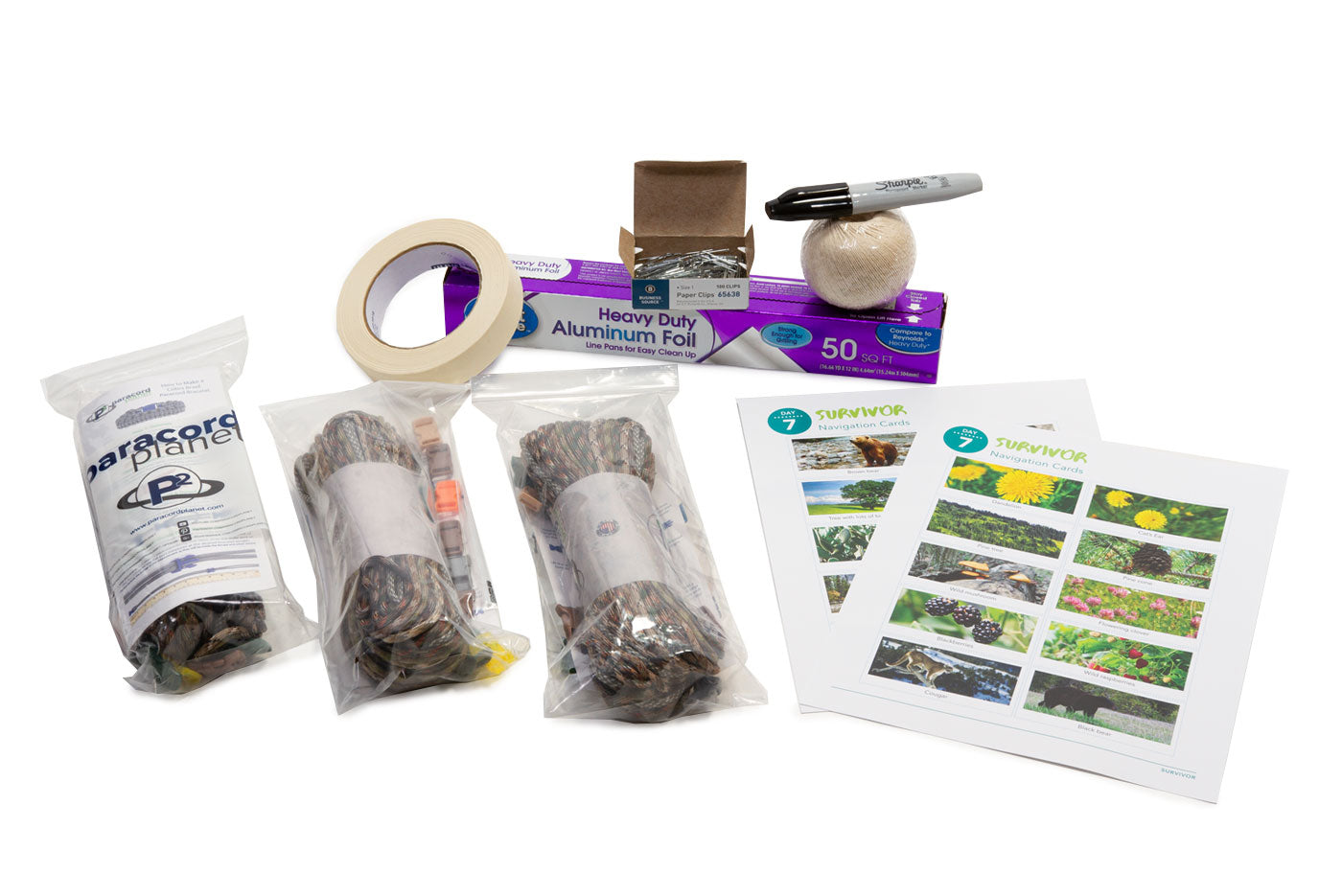 Survivor | PCS Edventures!